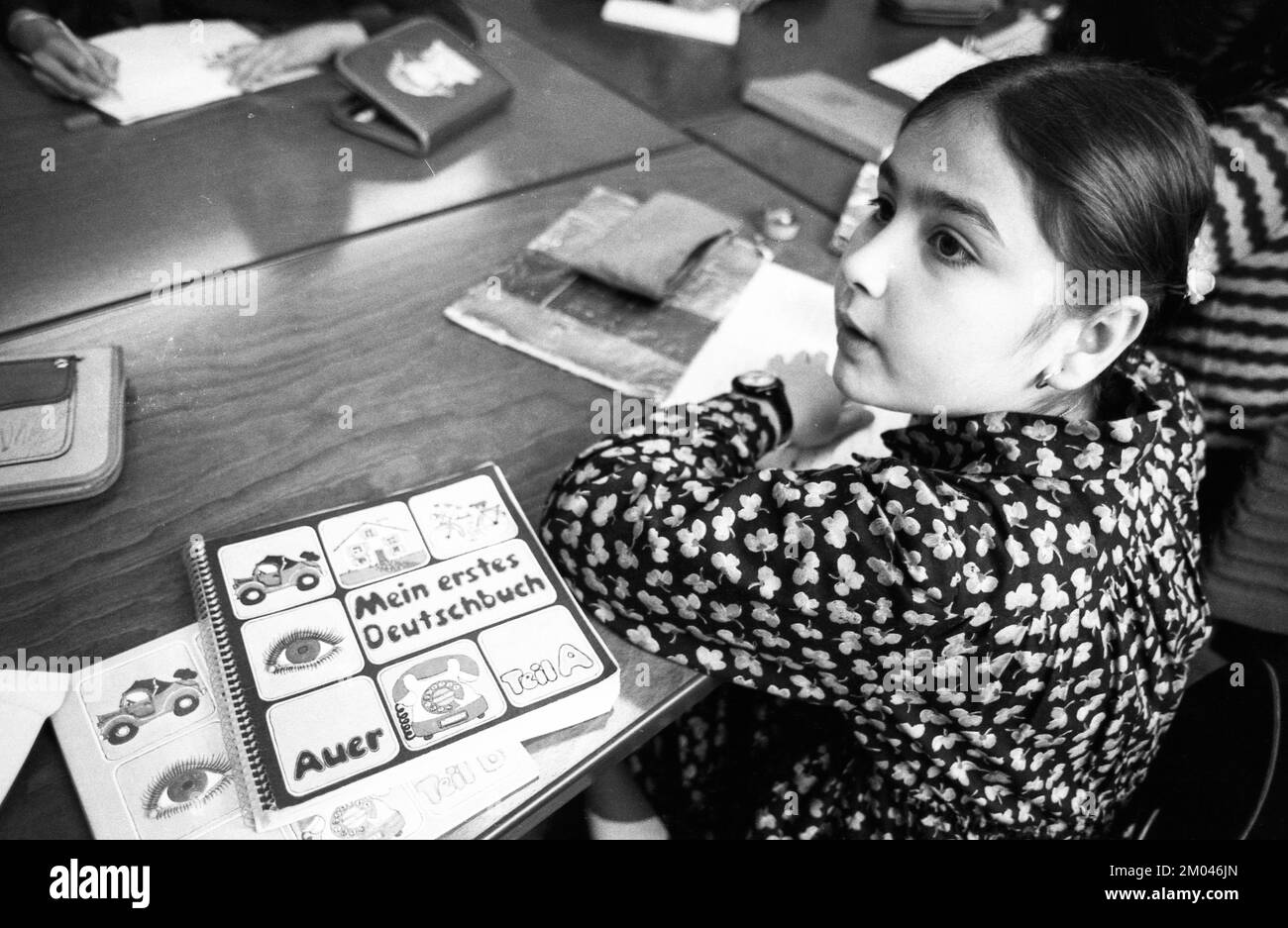 Teaching at a Hauptschule. The proportion of pupils with German parents ...