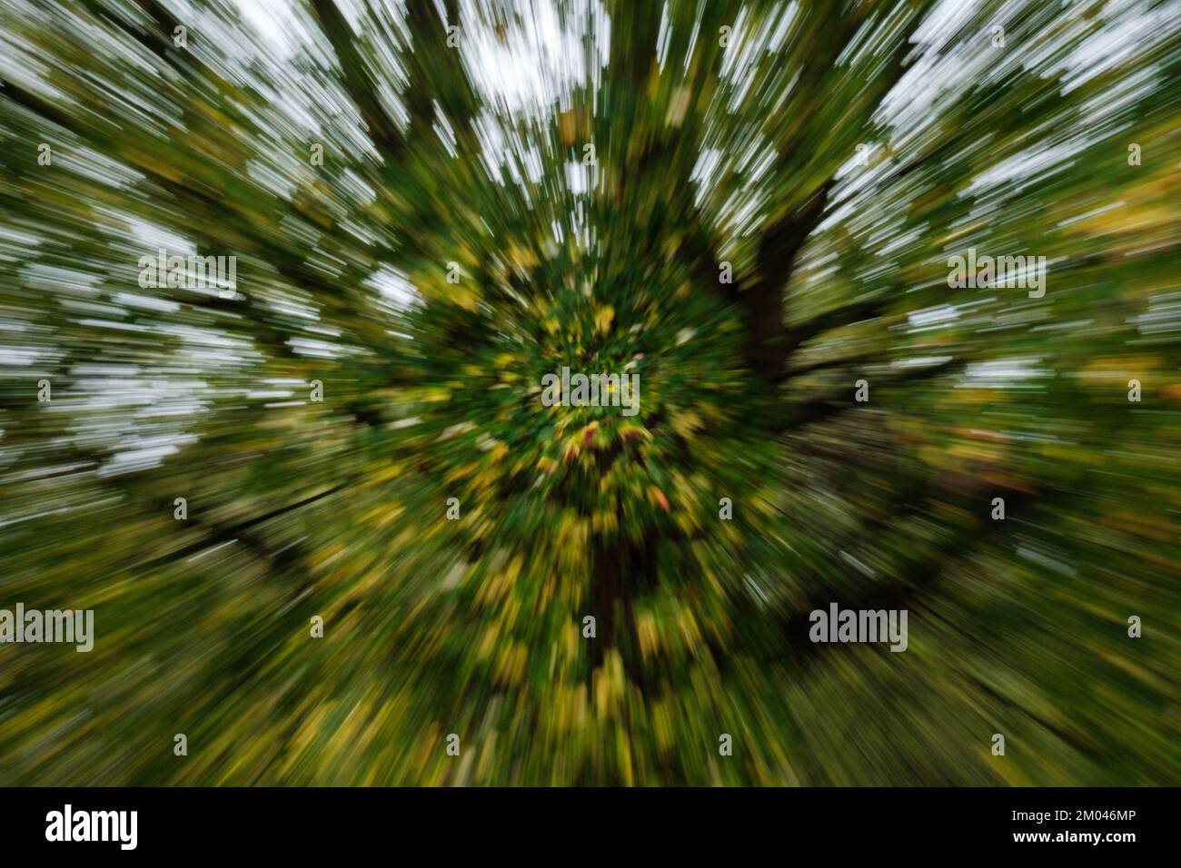 Zoomed burst hi-res stock photography and images - Alamy