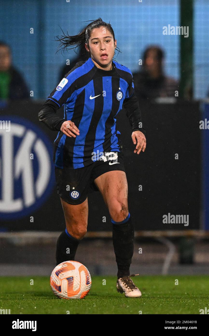 Dragoni hi-res stock photography and images - Alamy