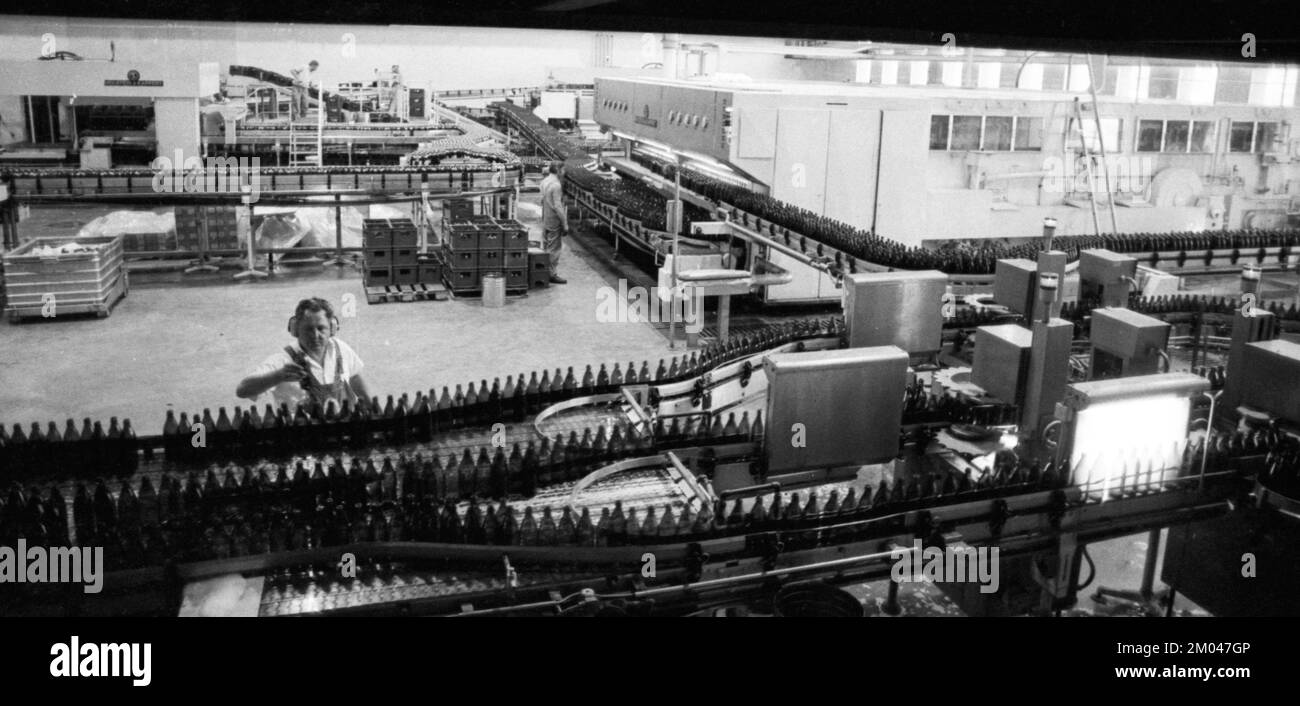 Beer production at the Dortmunder Aktien-Brauerei (DAB) on 29.07.1975 ...