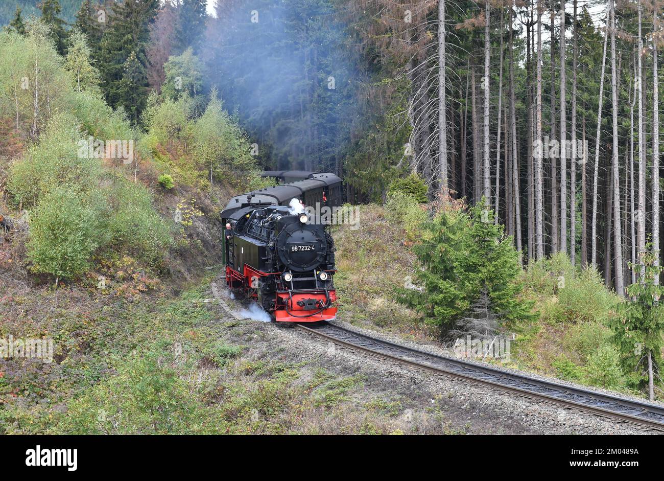 Steam locomotive of the Harz narrow gauge railway driving through the ...