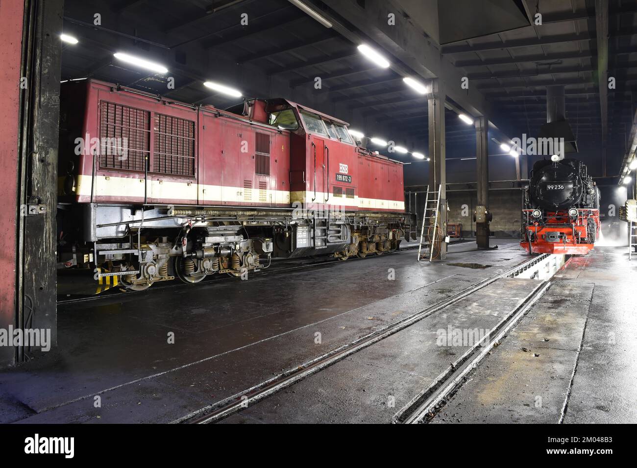 Diesel locomotive and steam locomotive of the Harz narrow gauge railway ...