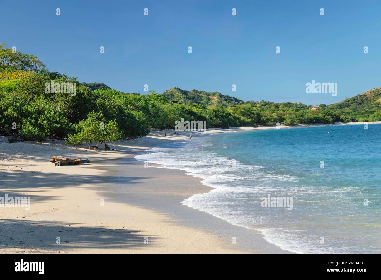 Playa Conchal Peninsula de Nicoya, Guanacaste, Costa Rica, Central ...