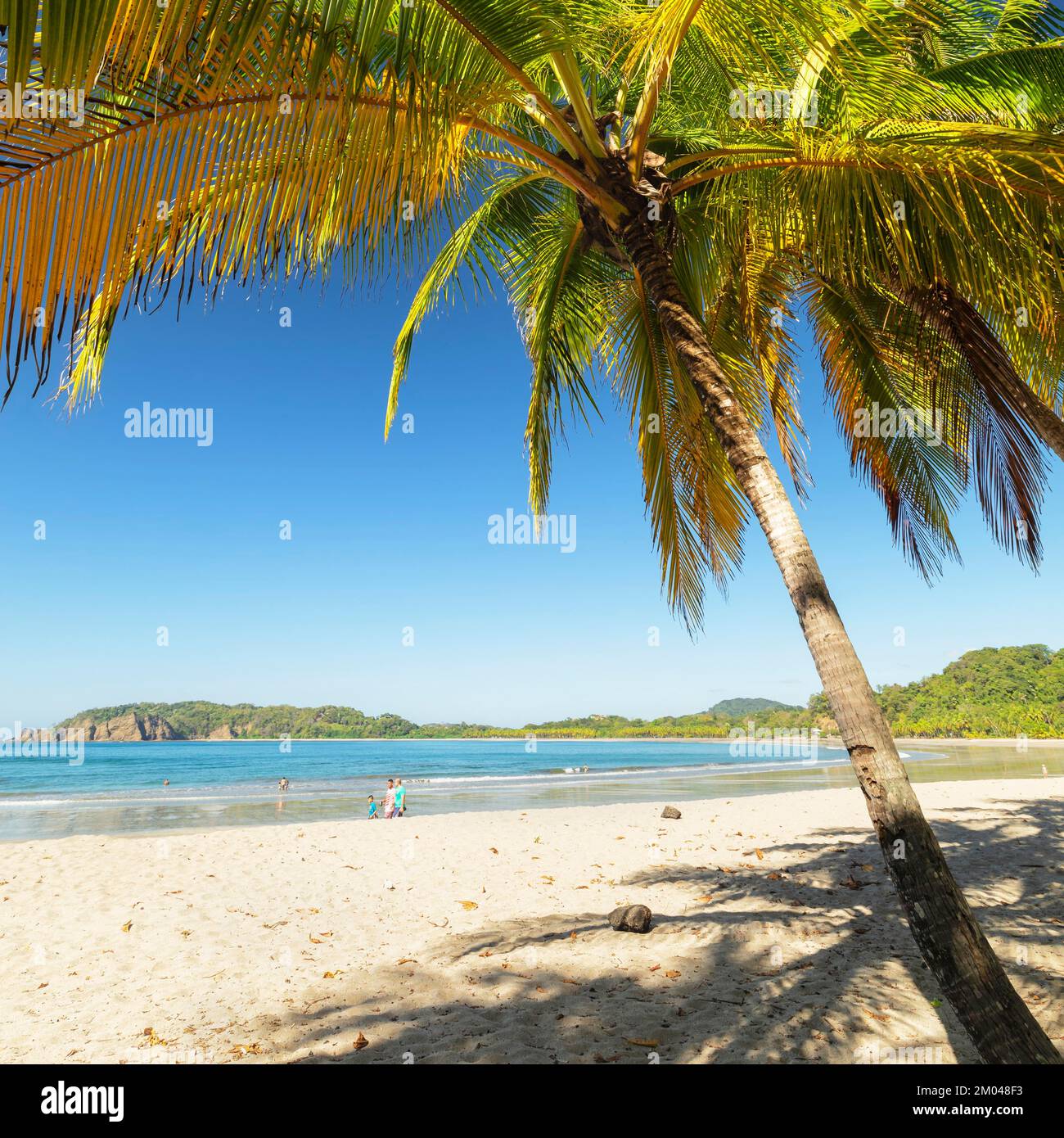 Playa Carillo, Peninsula de Nicoya, Guanacaste, Costa Rica, Central ...