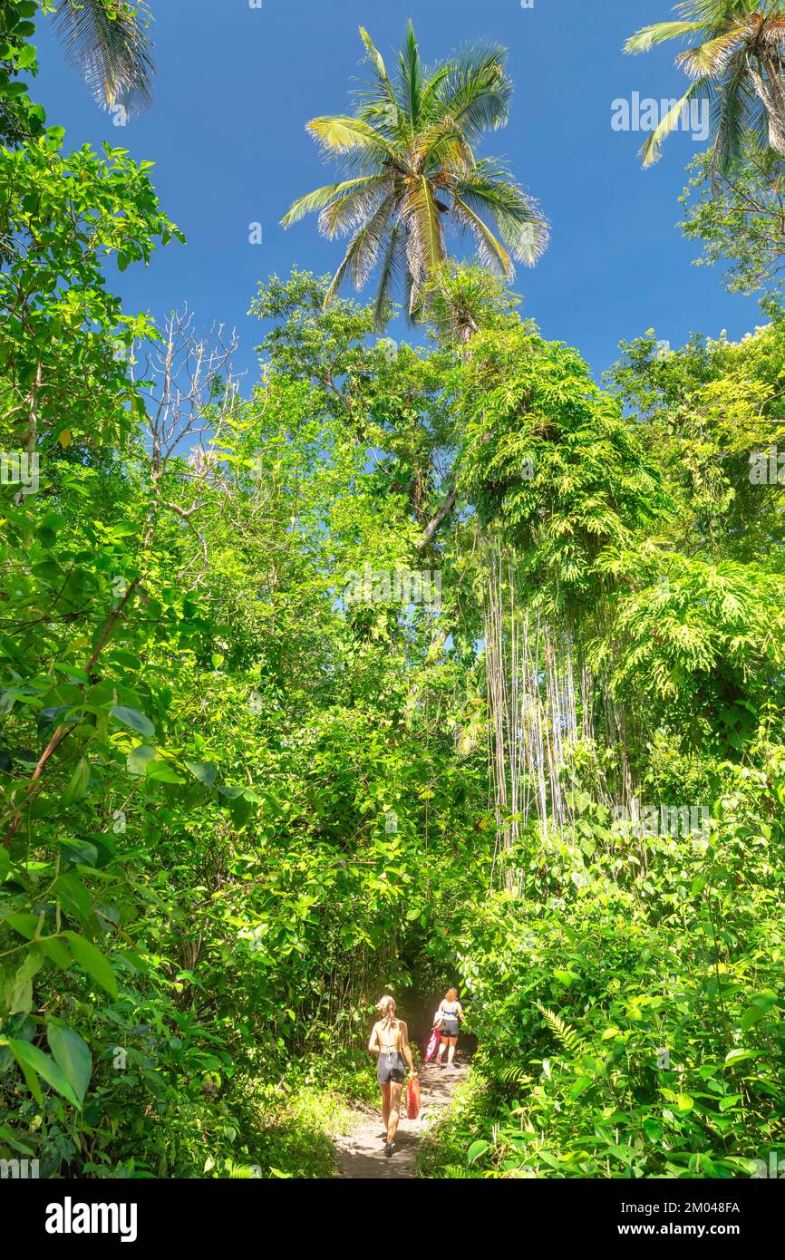 Parque Nacional Cahuita, Limon, Caribbean, Costa Rica, Central America ...