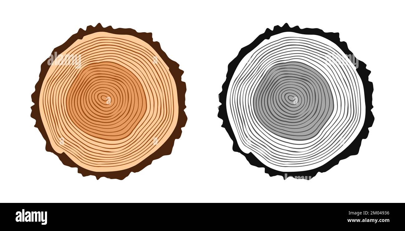 Round tree trunk cuts in various colors, sawn pine or oak slices ...
