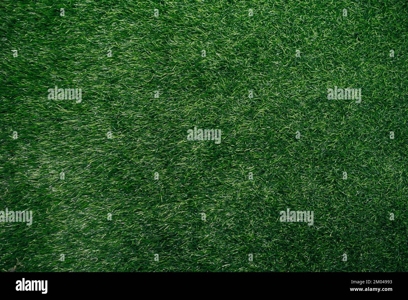Artificial sports grass texture of deep green. Top view. Simulating ...