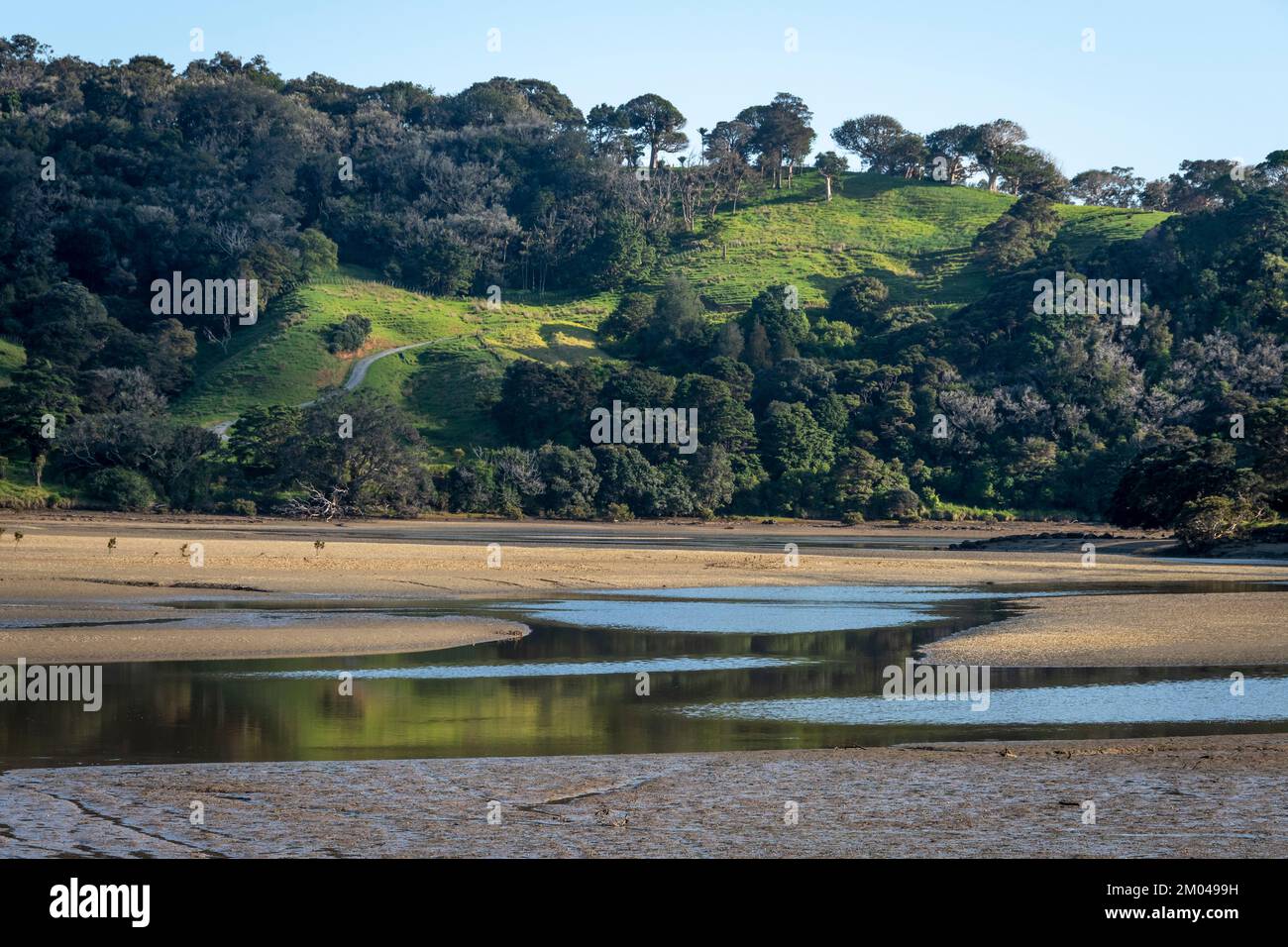 Puhoi estuary hi-res stock photography and images - Alamy