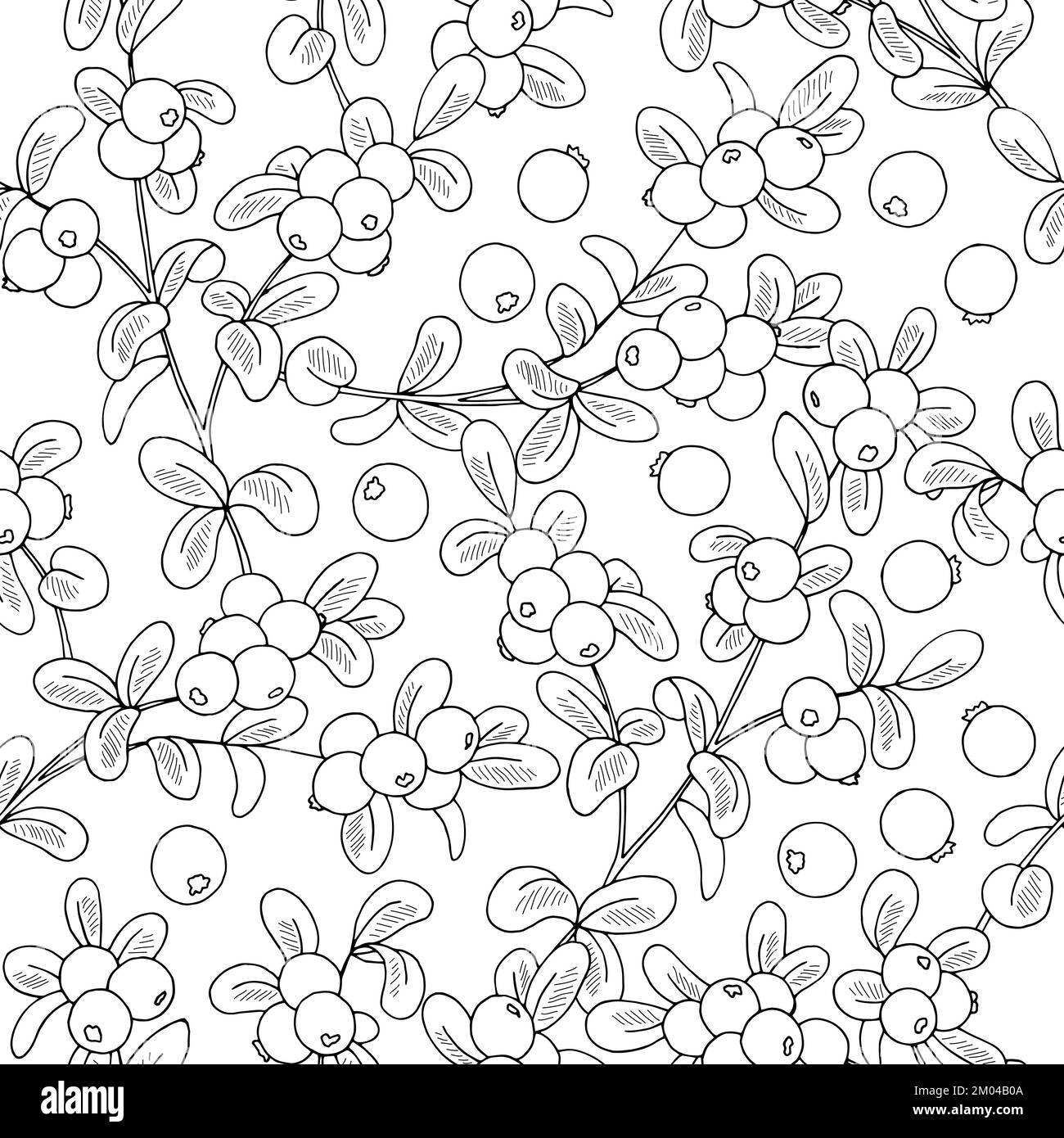 Cowberry plant seamless pattern background graphic black white sketch ...