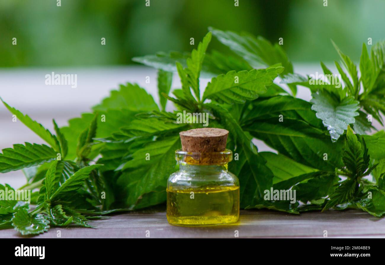 hemp oil in jars close-up. On a wooden background. Selective focus ...