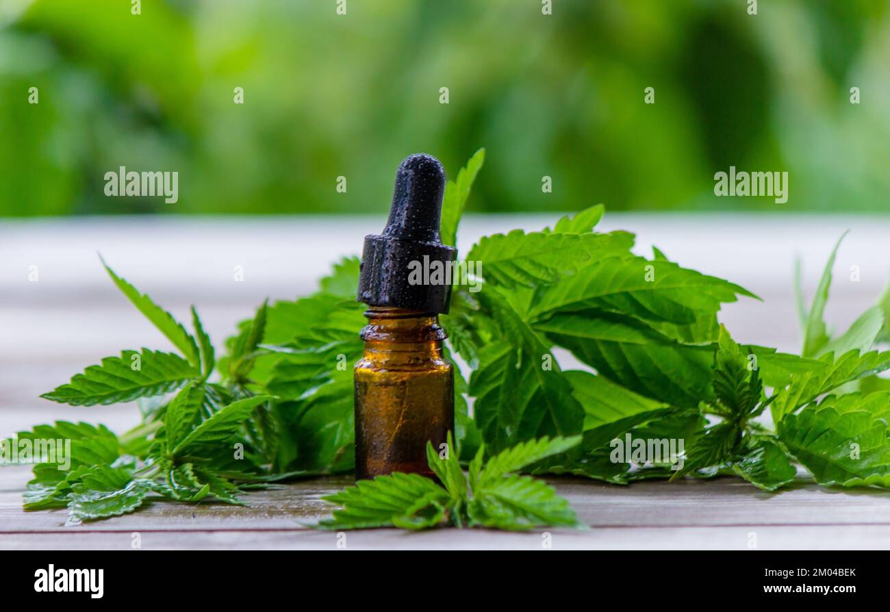 hemp oil in jars close-up. On a wooden background. Selective focus ...