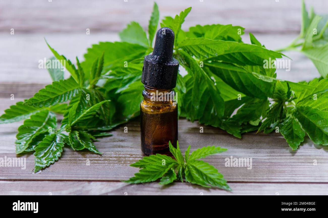 hemp oil in jars close-up. On a wooden background. Selective focus ...