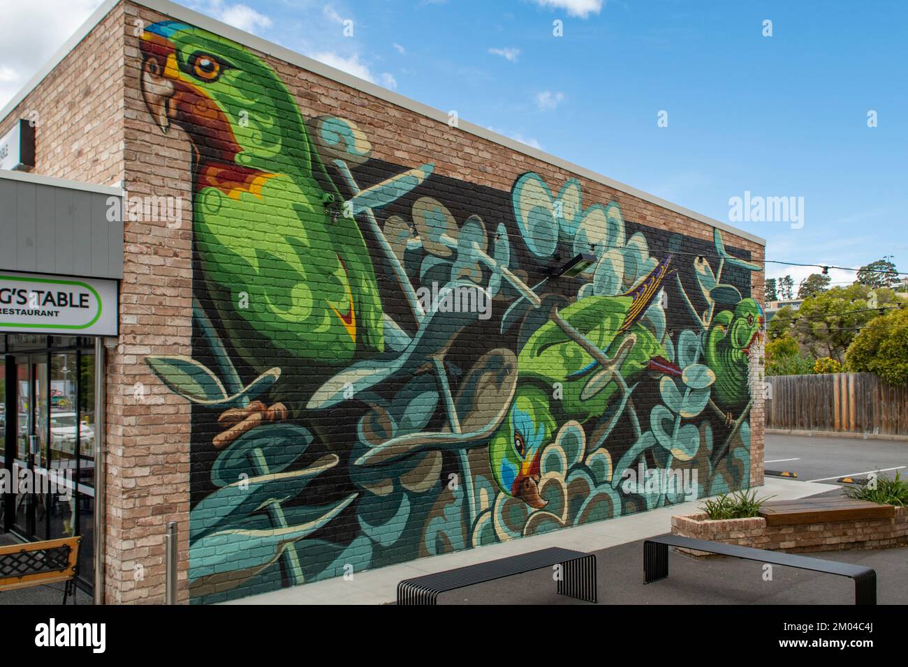 Parrot Street Art, Kingston, Tasmania, Australia Stock Photo - Alamy