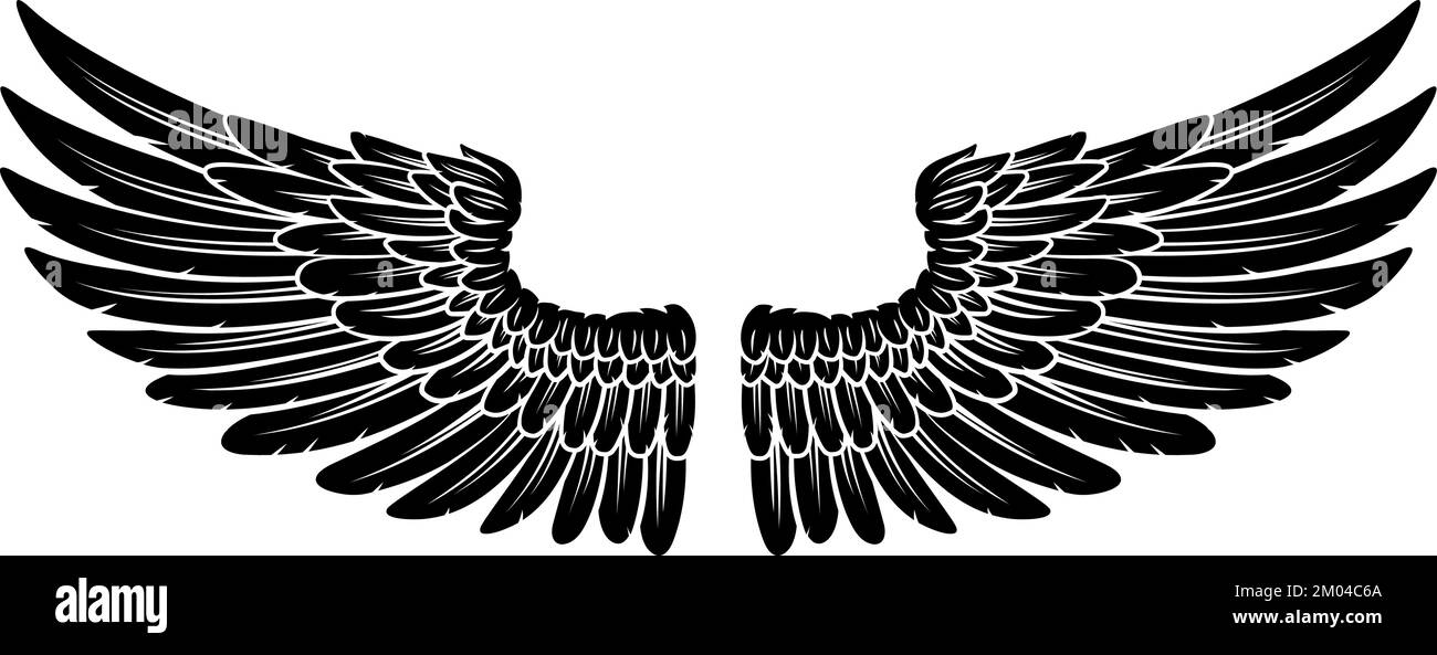 Bird fether Stock Vector Images - Alamy