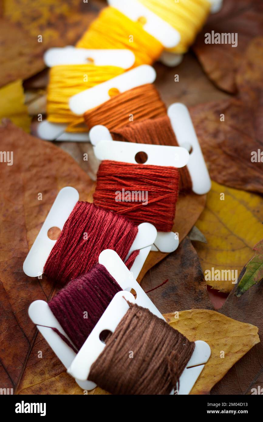 Embroidery thread colors hi-res stock photography and images - Alamy