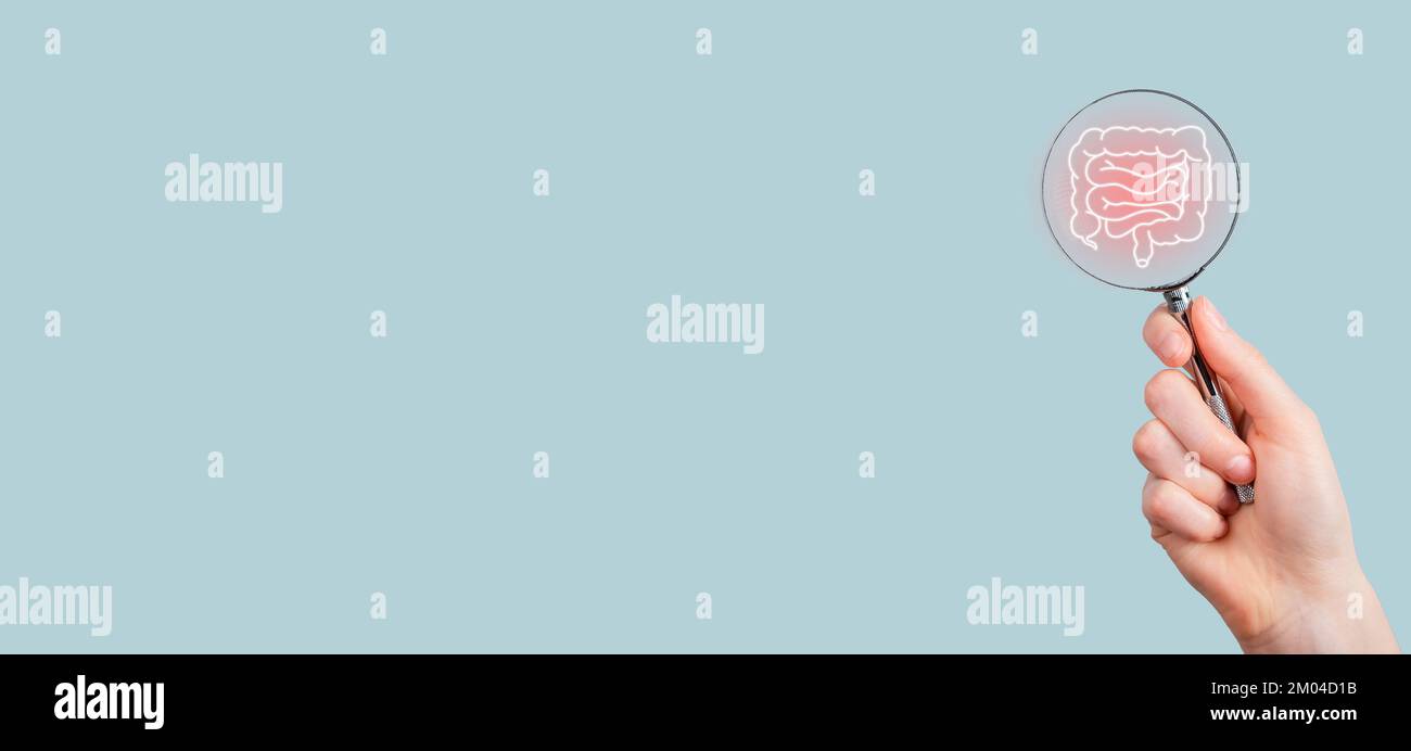 Check bowels hi-res stock photography and images - Alamy