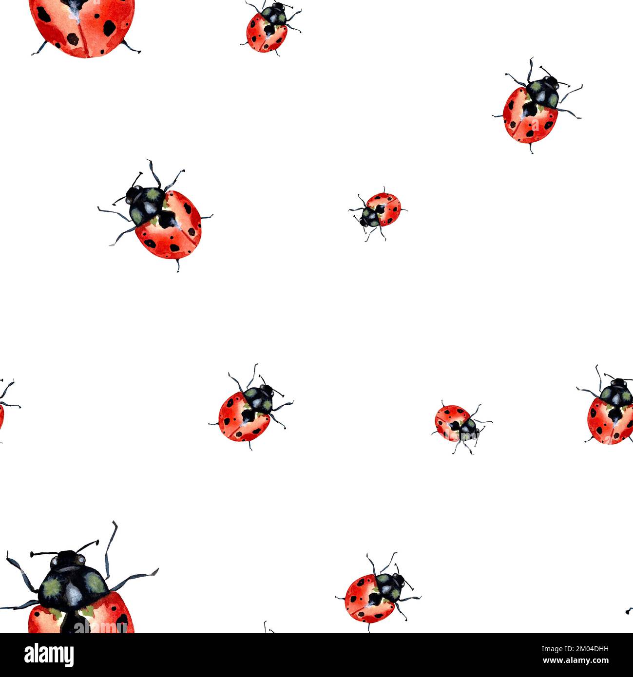 Ladybug sketch hi-res stock photography and images - Alamy
