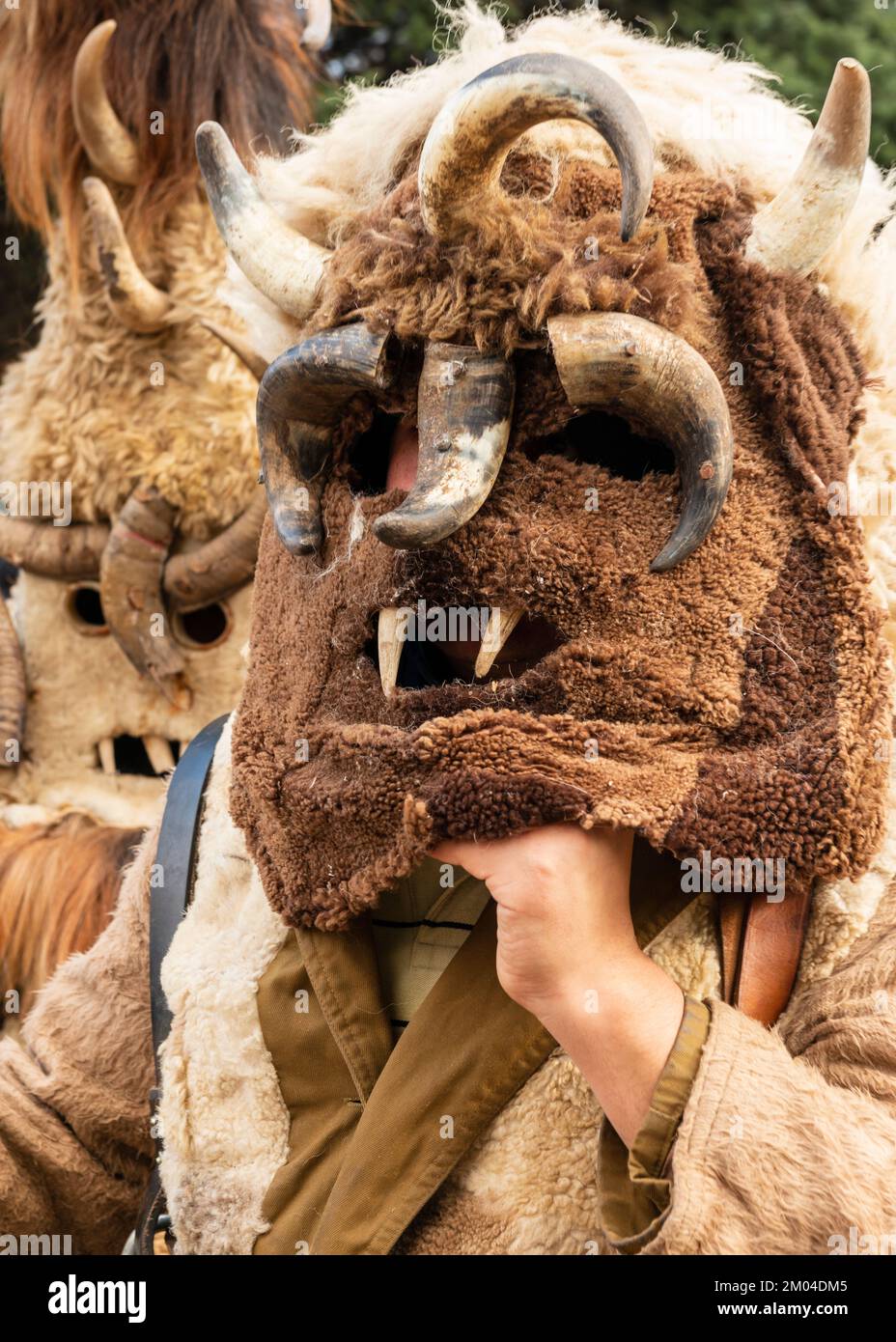 Kukeri dancer with intricate costume wearing a monster mask at the ...