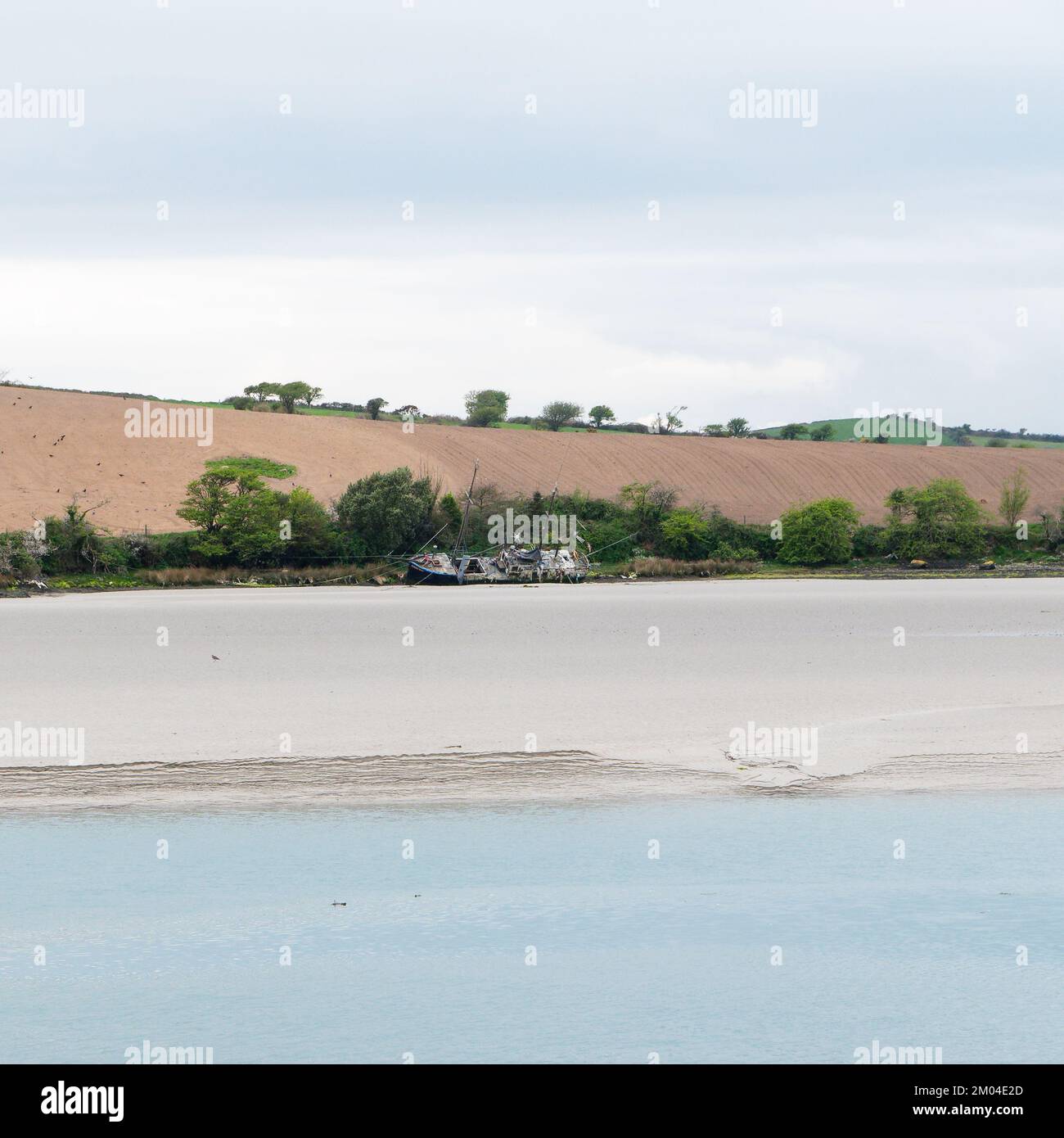 Field beach seaside seashore hi-res stock photography and images - Alamy