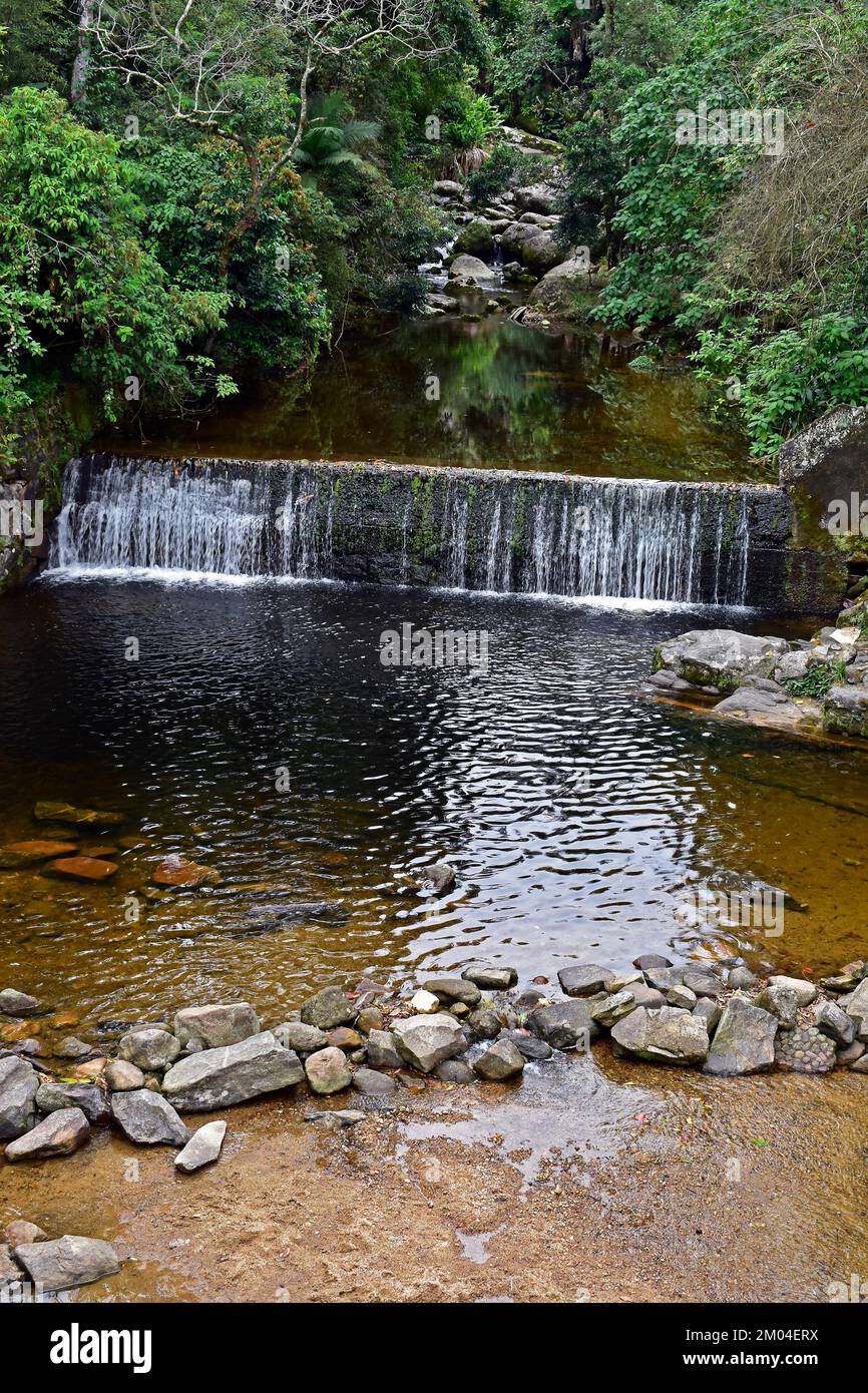 Waterfall on tropical rainforest in Teresopolis, Rio de Janeiro, Brazil ...