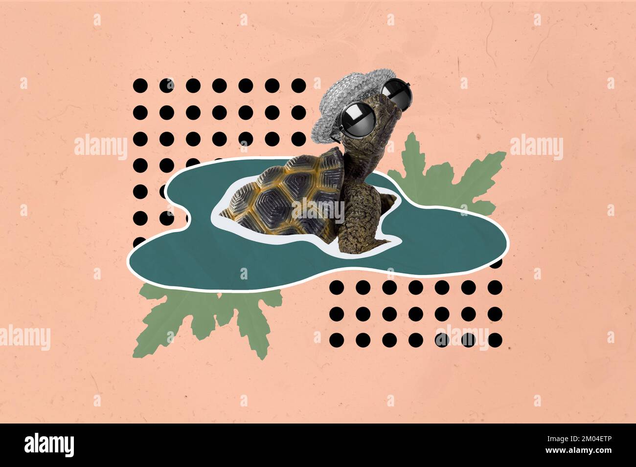 Creative collage picture of sea turtle inside drawing pond water wear ...