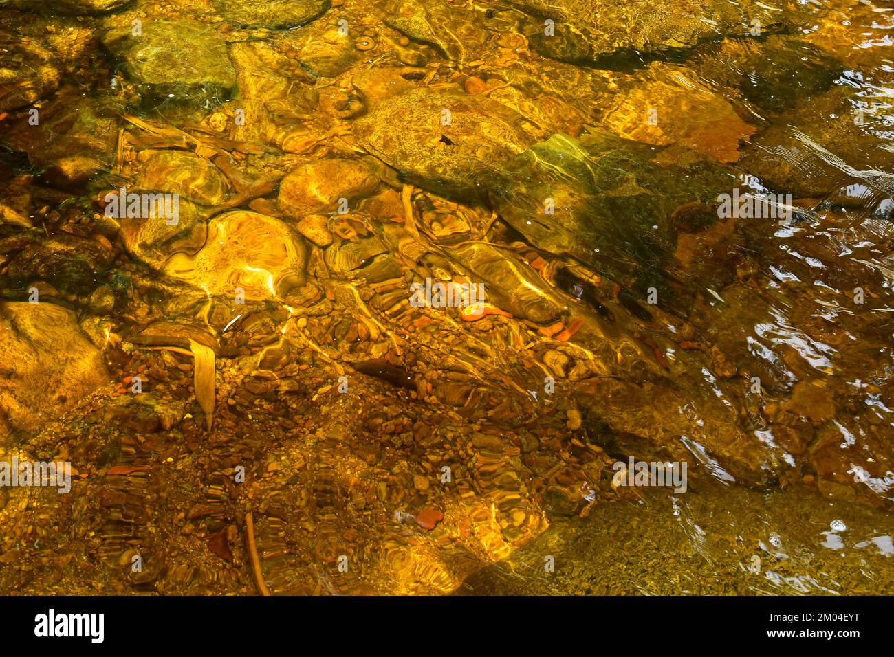 Crystal clear river water in the rainforest, Teresopolis, Rio de ...