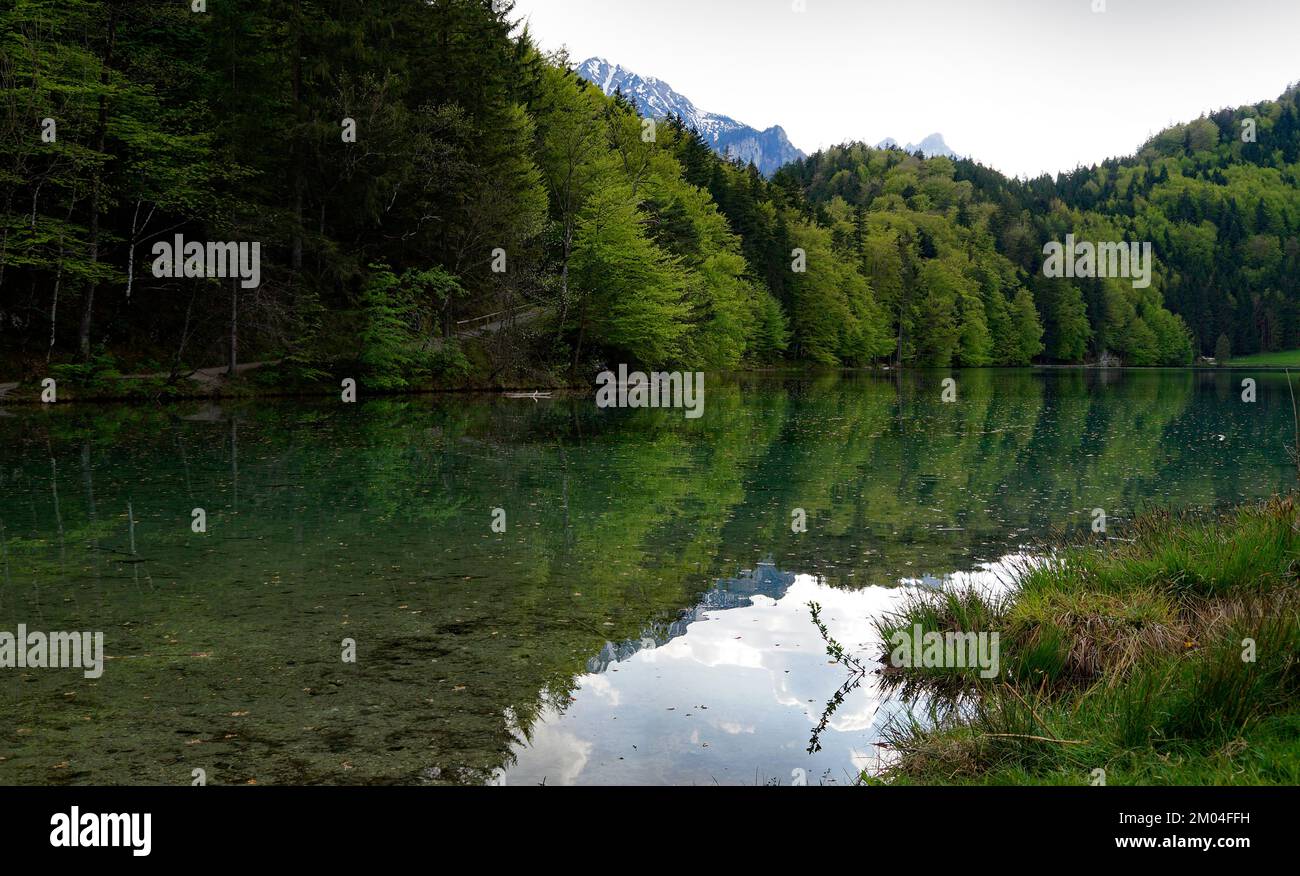 emerald-green waters of lake Alatsee in Fuessen, Bavaria with the snowy ...