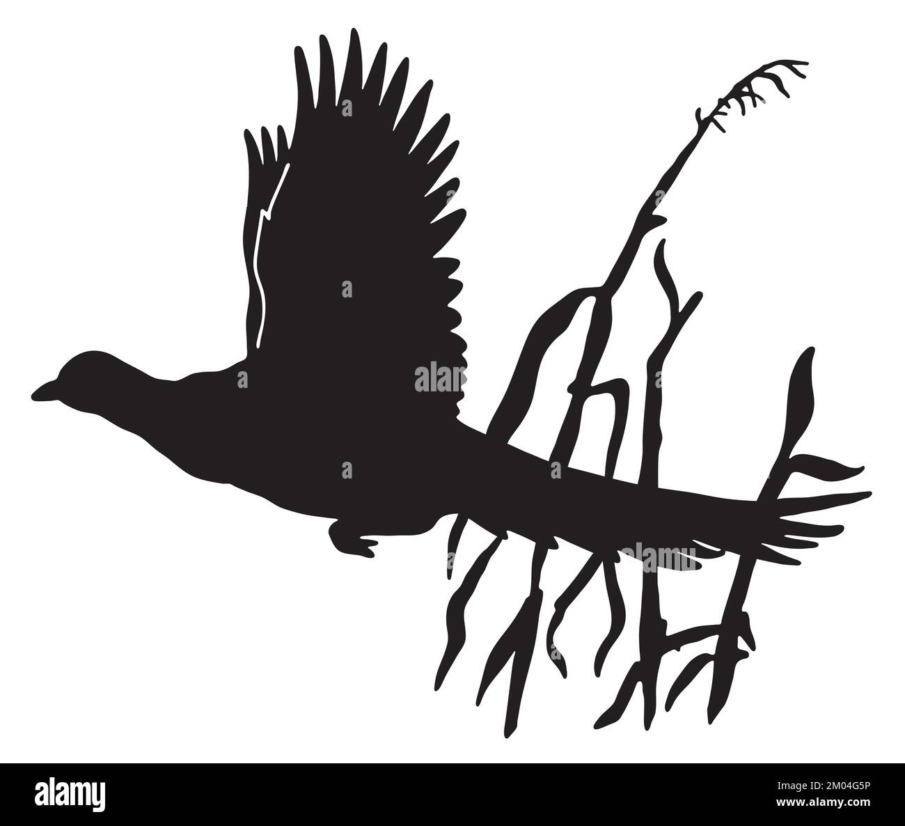 Flying pheasant logo hi-res stock photography and images - Alamy