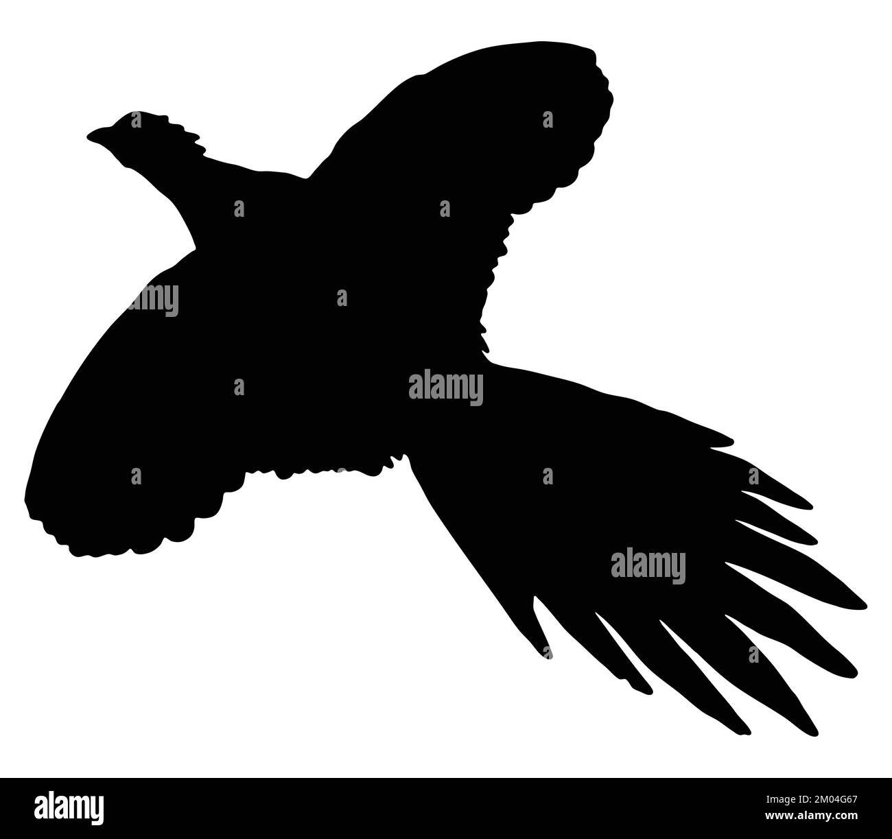 Flying pheasant logo hi-res stock photography and images - Alamy
