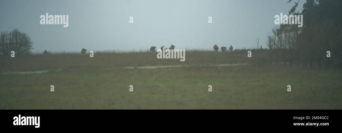 a unit of British army soldiers on a 40kg loaded march tab military ...