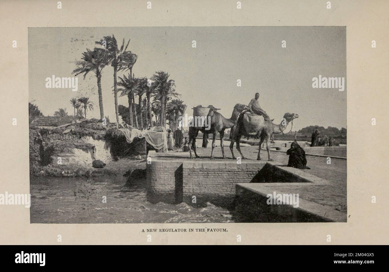 Ancient egyptian irrigation hi-res stock photography and images - Alamy