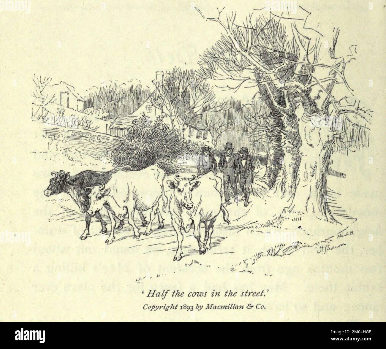 Half the cows in the street illustrated by Hugh Thomson for Our Village ...