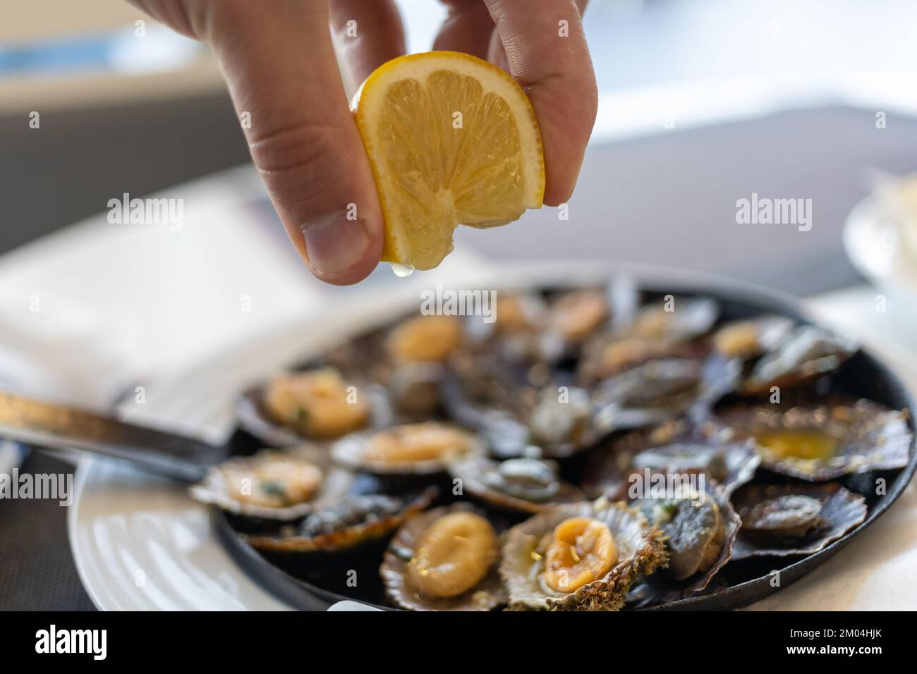 Sea limpets hi-res stock photography and images - Alamy