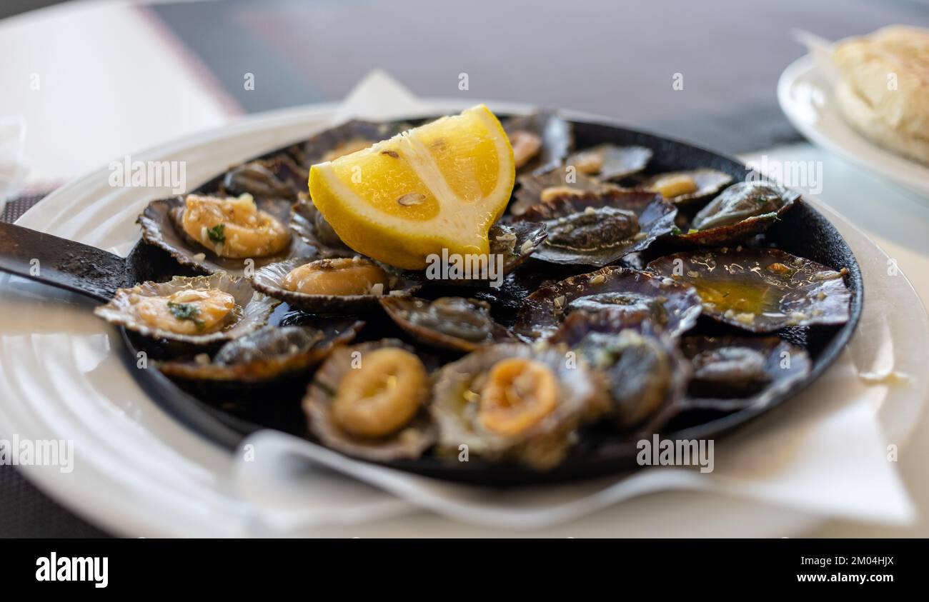 Sea limpets hi-res stock photography and images - Alamy