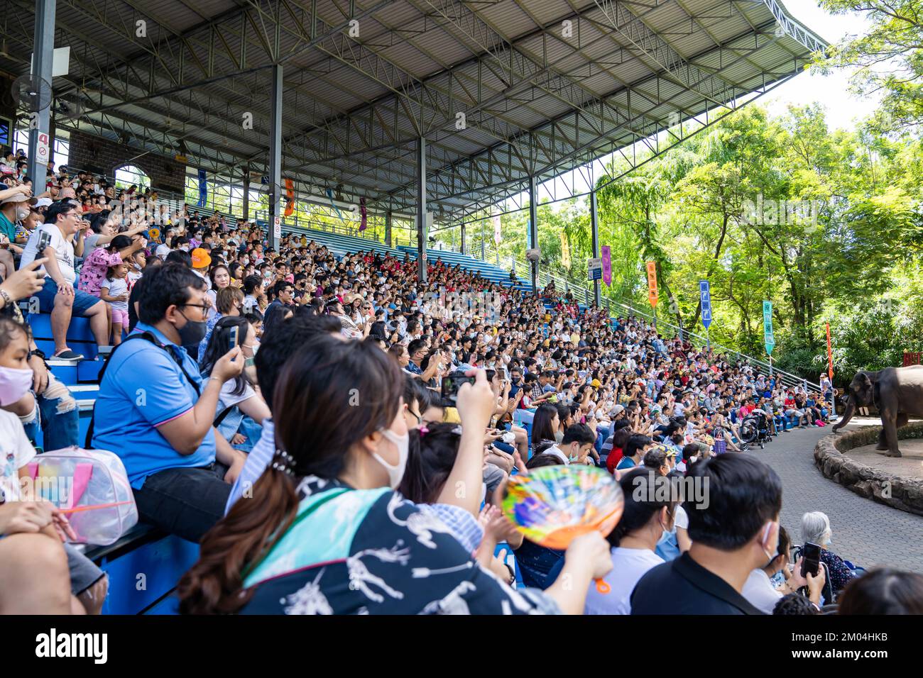 Bangkok, Thailand – 26 Sep 2020, the grandstand during elephant show at Safari world is packed ...