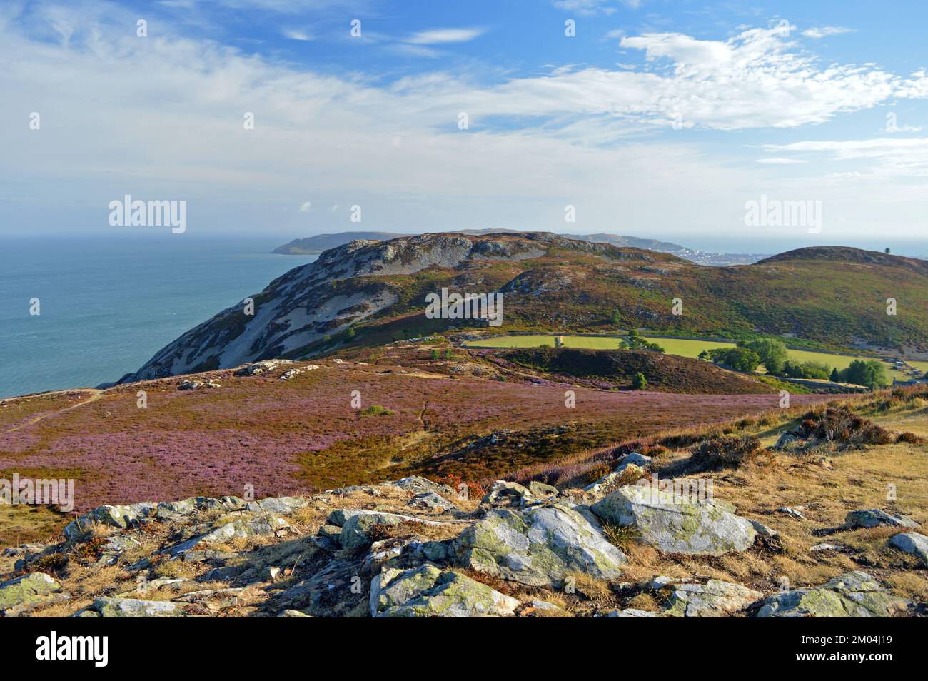 Penmaen park hi-res stock photography and images - Alamy