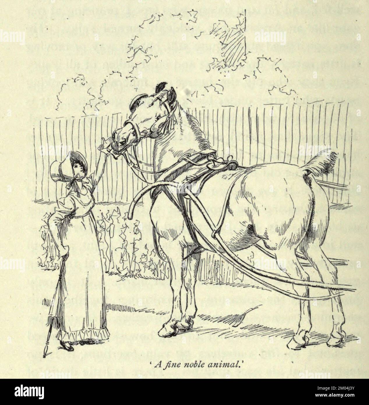 A fine noble animal illustrated by Hugh Thomson for Our Village is a ...