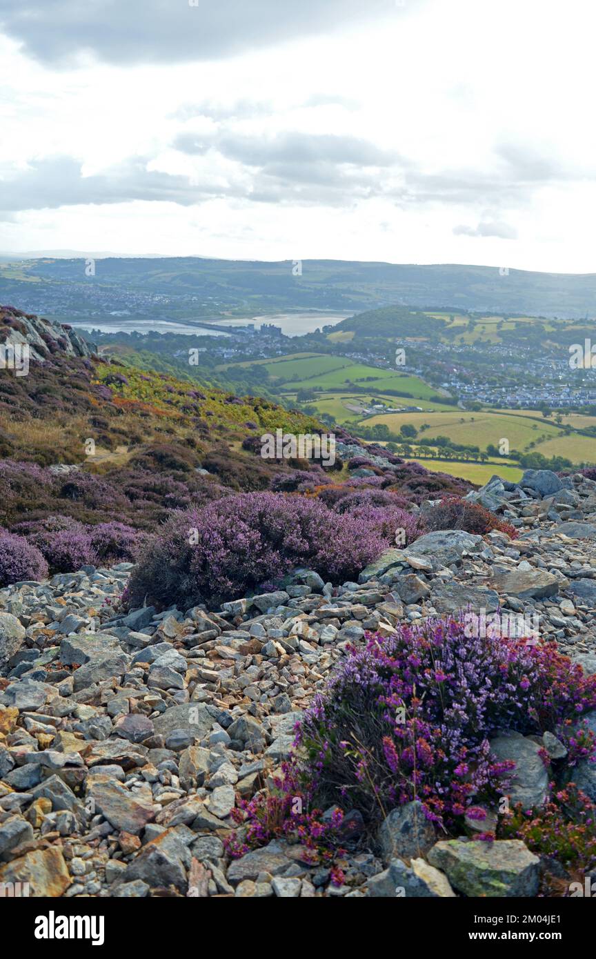 Mynydd y dref conwy mountain wales hi-res stock photography and images ...