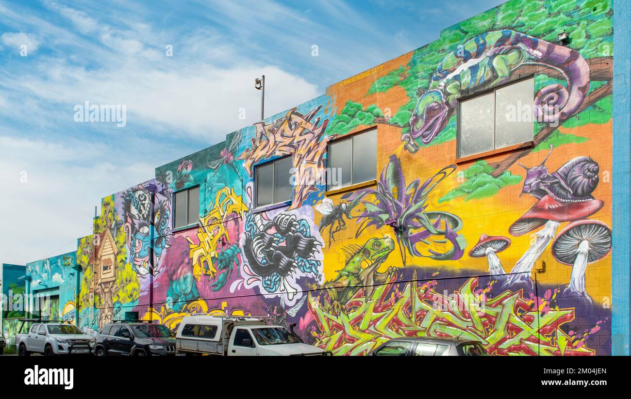 Street Art, North Hobart, Tasmania, Australia Stock Photo - Alamy