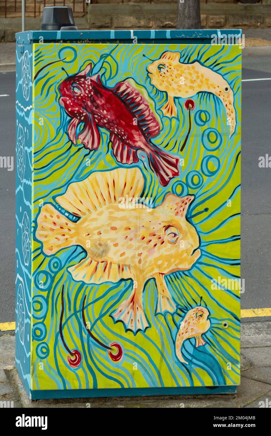 Traffic Box Street Art, Hobart, Tasmania, Australia Stock Photo - Alamy