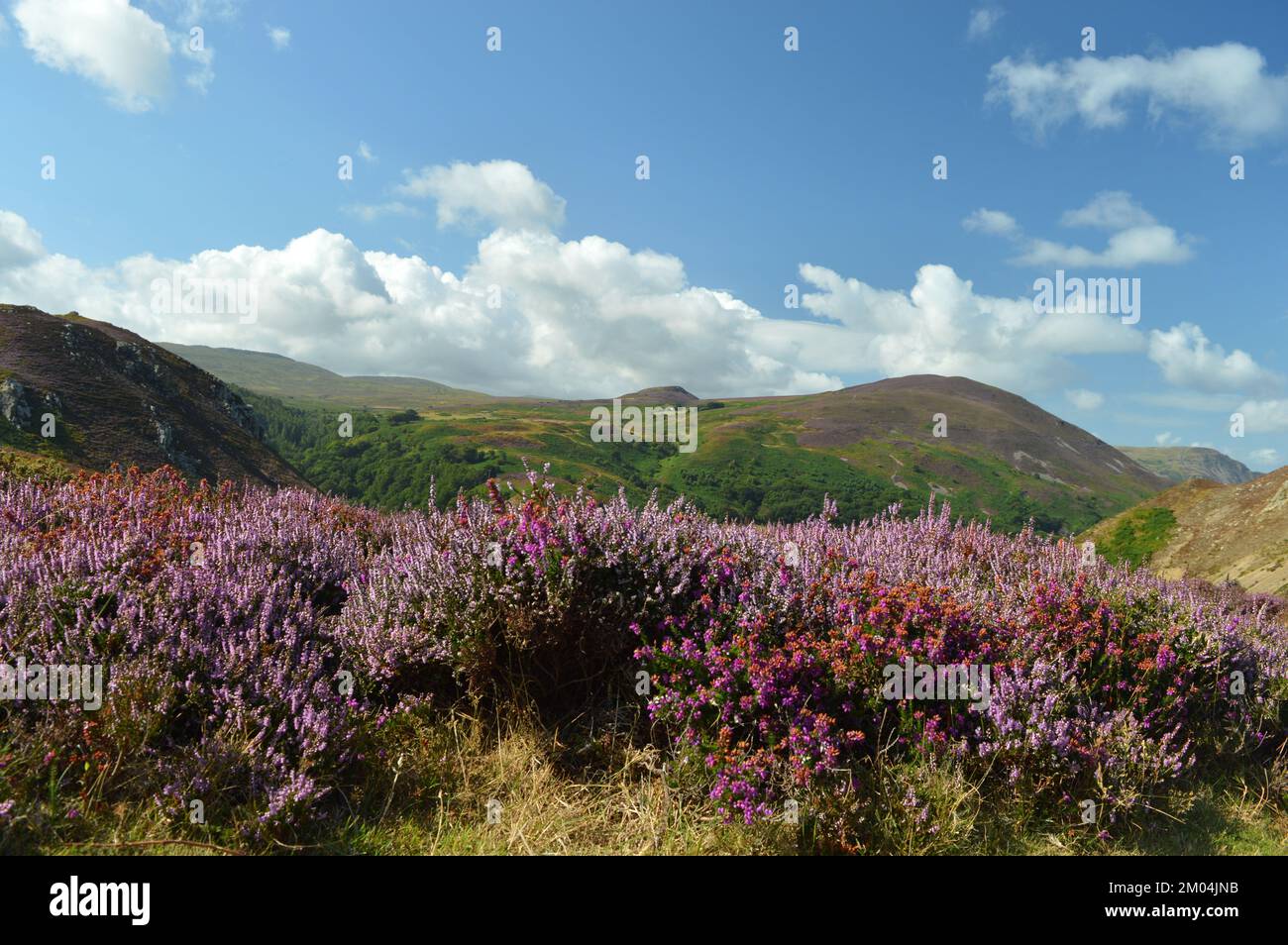 View towards carneddau mountains hi-res stock photography and images ...