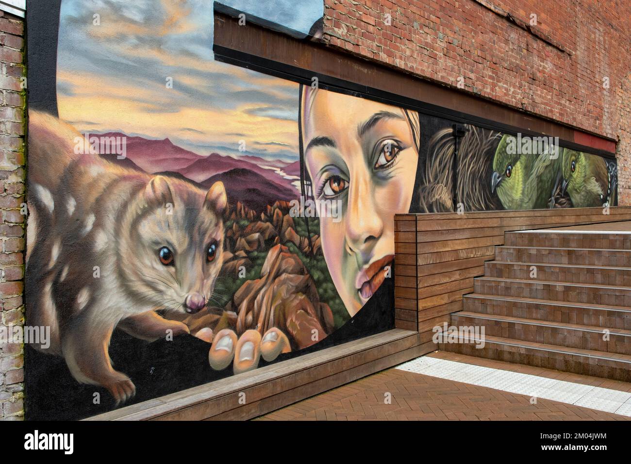 Spotted Quoll Street Art by Jamin in Elizabeth Street, Hobart, Tasmania ...