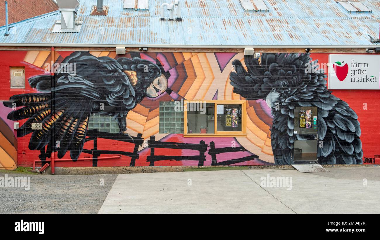 Black Cockatoos Street Art, Hobart, Tasmania, Australia Stock Photo - Alamy