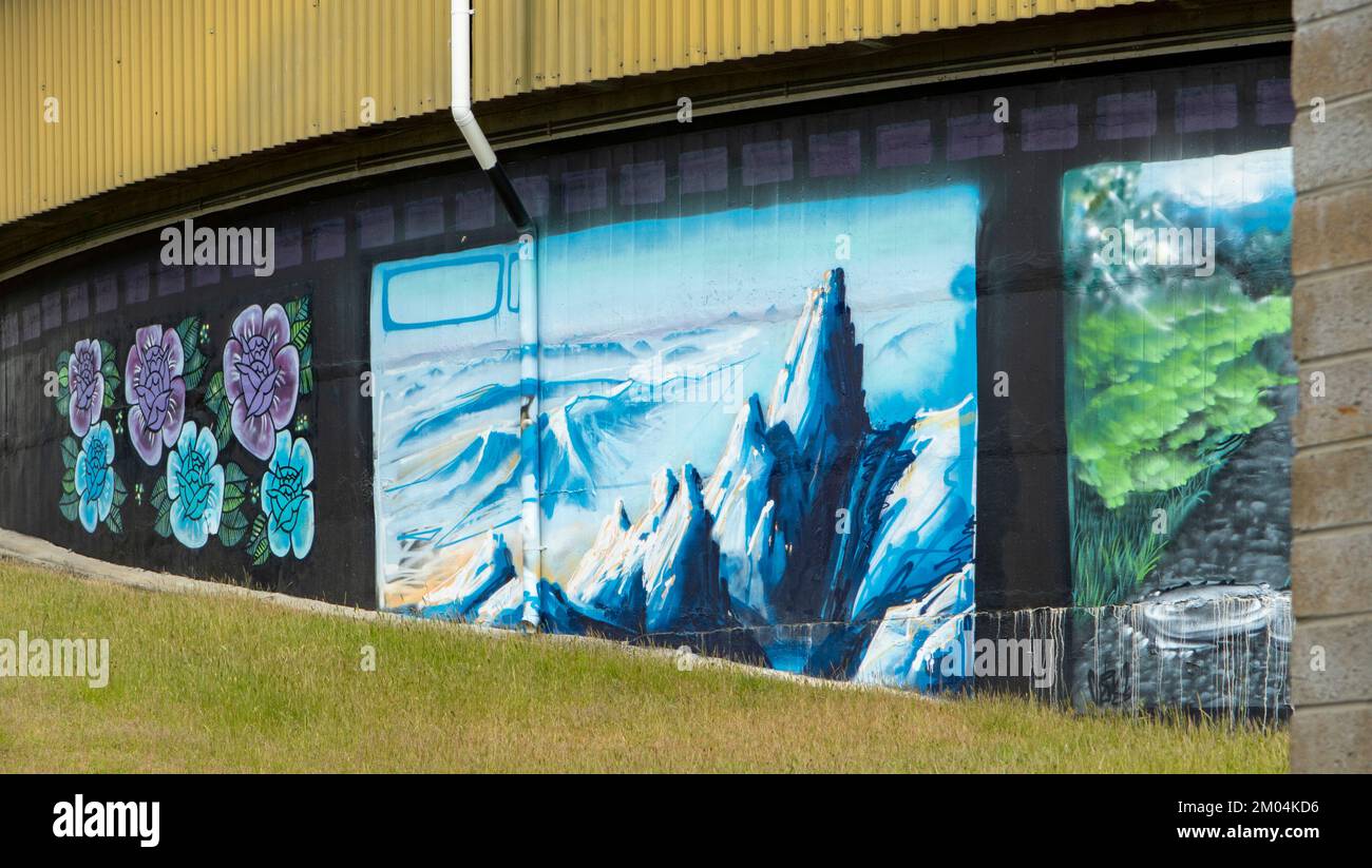 Water Tank Art, Mt Stuart, Hobart, Tasmania, Australia Stock Photo - Alamy