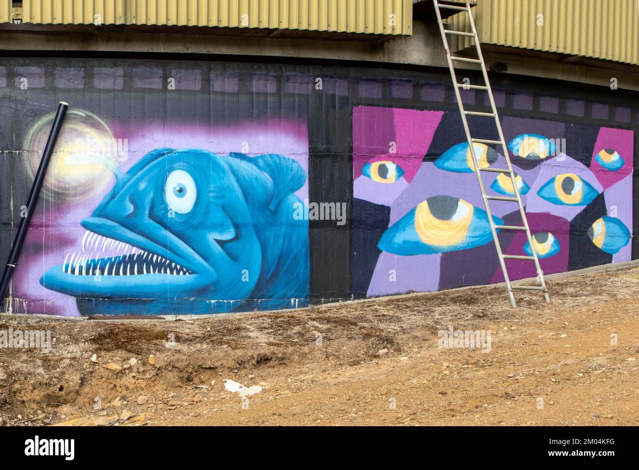 Water Tank Art, Mt Stuart, Hobart, Tasmania, Australia Stock Photo - Alamy