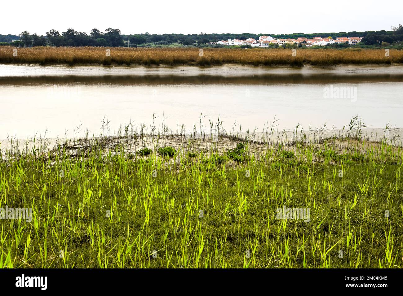 Sal marsh hi-res stock photography and images - Alamy