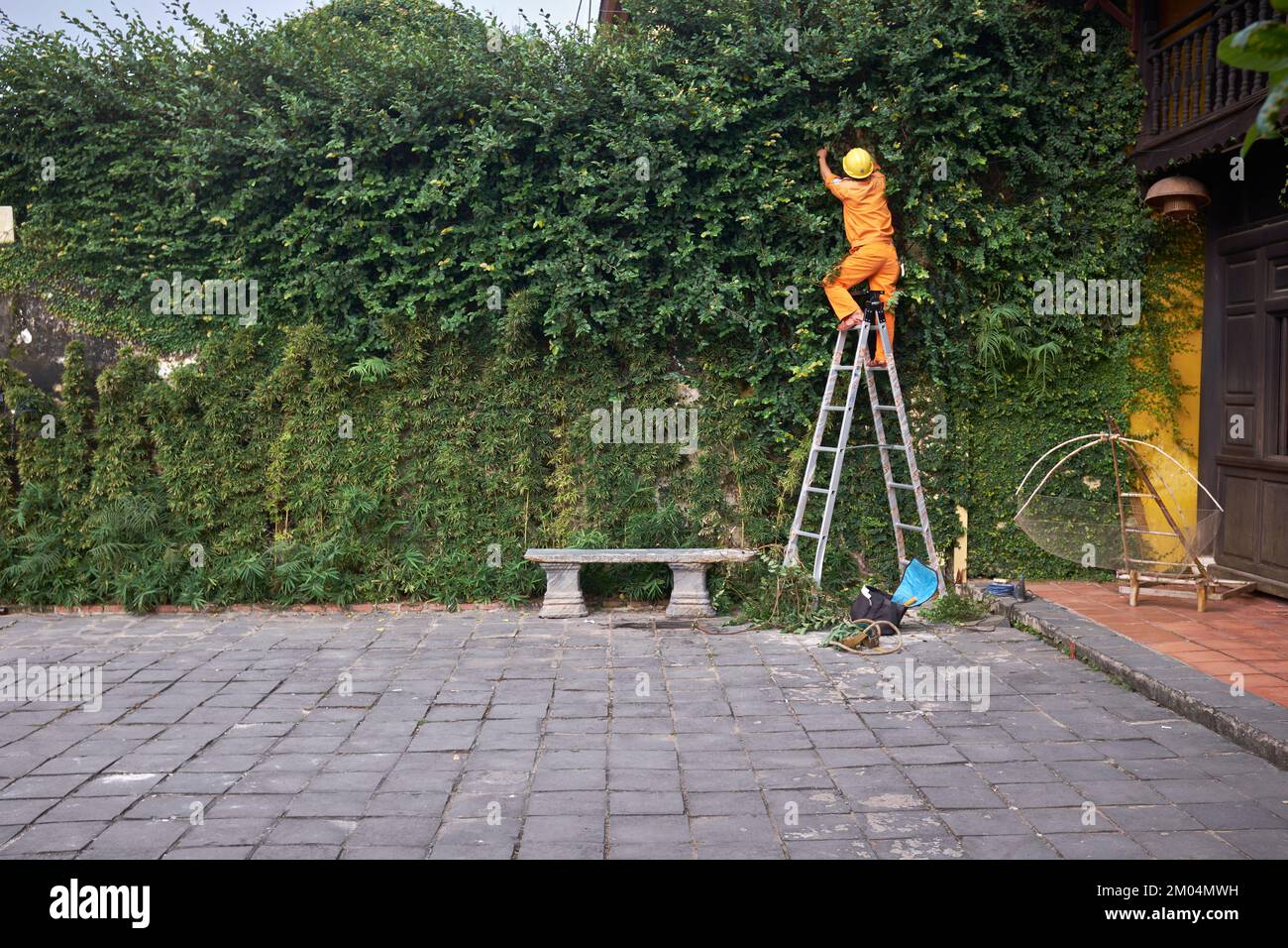 Workman at the top of the ladder repairing wires Hoi An Vietnam Stock ...