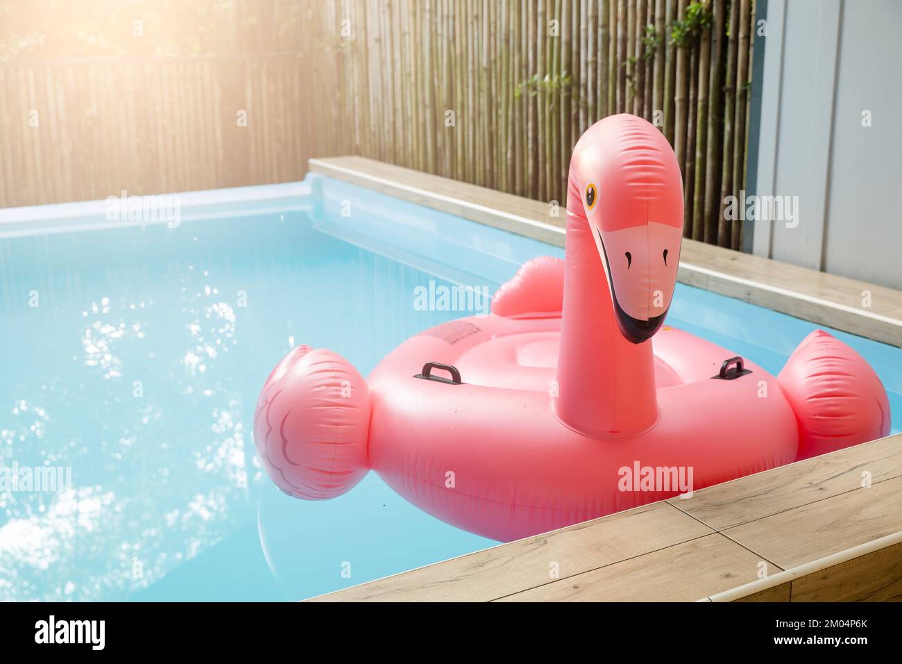 Pink inflatable ring flamingo plastic in the swimming pool blue water ...