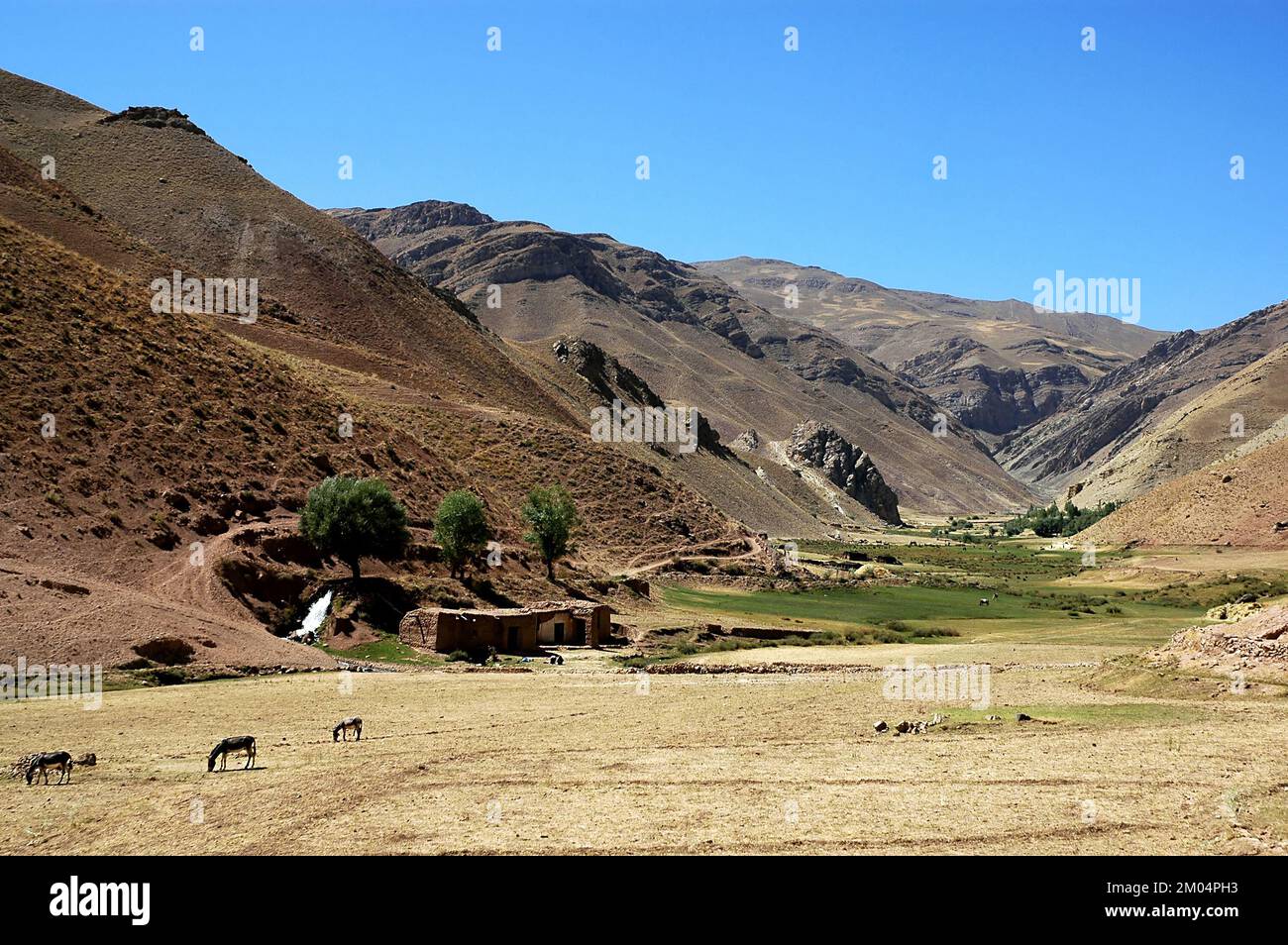A farm near the Minaret of Jam, Ghor Province in Afghanistan. Donkeys ...