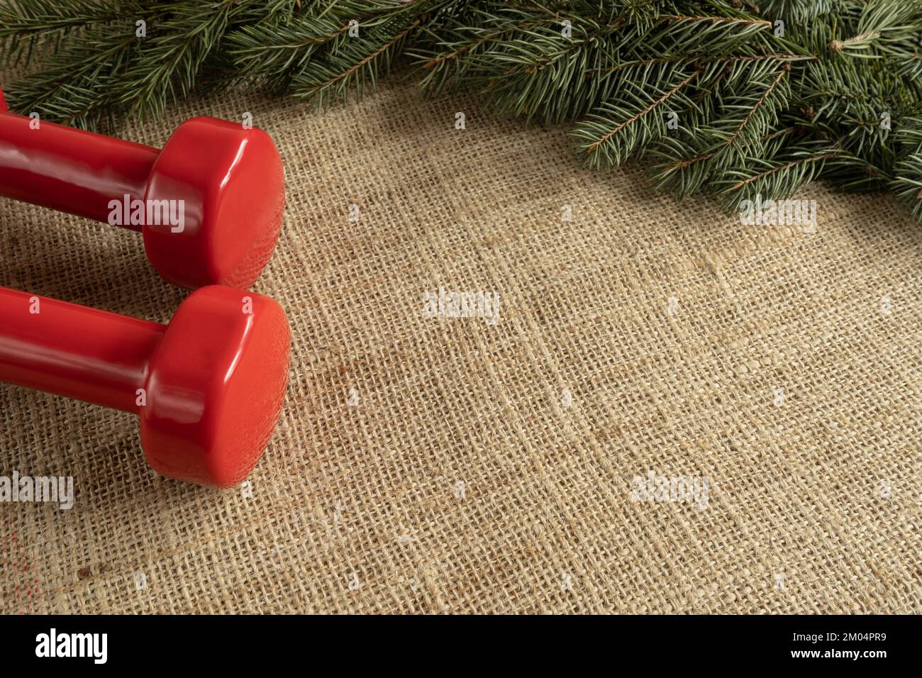 Red gym dumbbells and Christmas tree branches. Healthy fitness winter ...